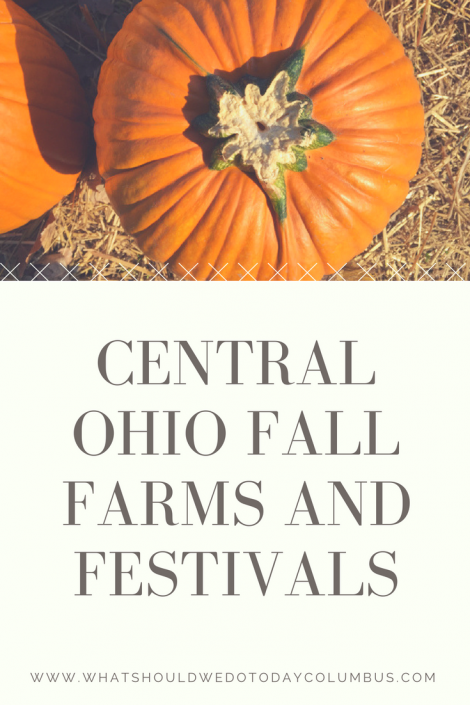 Pumpkin Patches and Fall Festivals in Columbus and Central Ohio 2023!