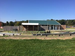 18 Things to Do at Leeds Farm in 2024