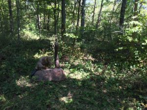 18 Things to Do at Leeds Farm in 2024