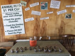 18 Things to Do at Leeds Farm in 2024