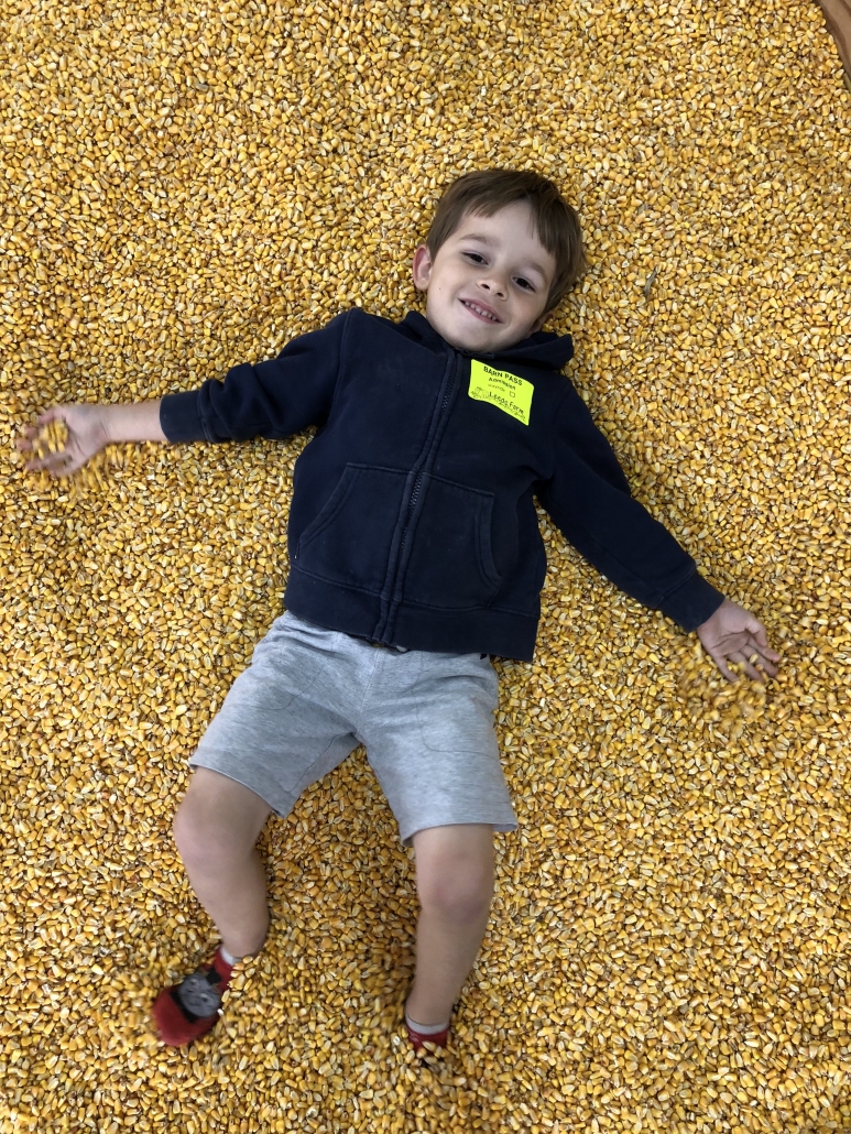 18 Things to Do at Leeds Farm in 2024