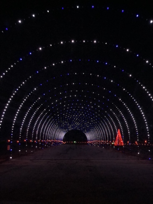 WonderLight's Christmas Glows with Over One Million LED Lights!