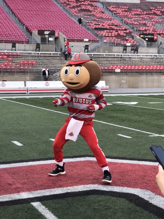 brutus buckeye ohio state university