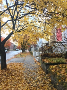 6 Fantastic Fall Activities for Families in Central Ohio