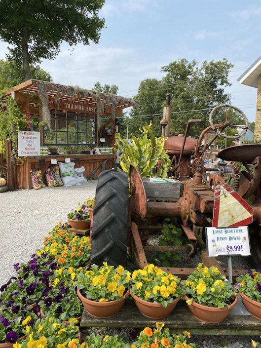 6 Reasons Why You Need to Visit Groovy Plants Ranch!
