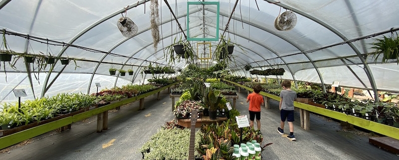 Groovy Plants Ranch is A Plant Lover's Heaven!