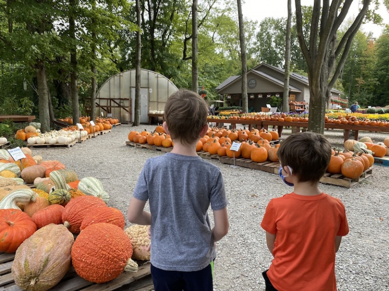 6 Fantastic Fall Activities for Families in Central Ohio