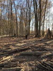 Glacier Ridge Metro Park Offers Tons of Fun For Families