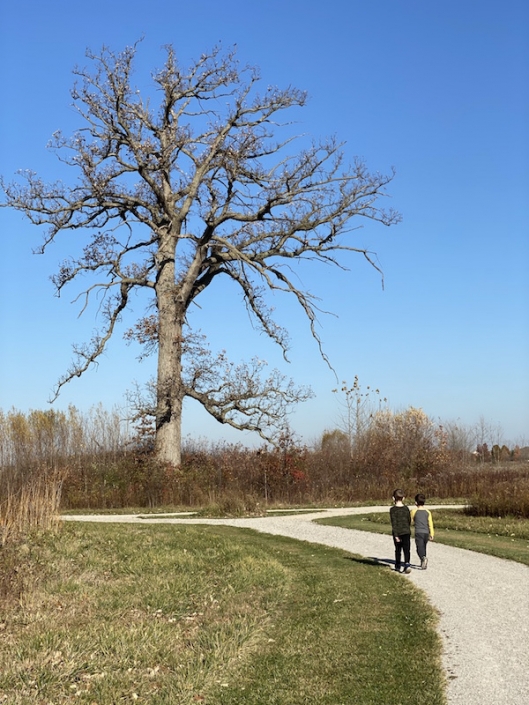Glacier Ridge Metro Park Offers Tons of Fun For Families