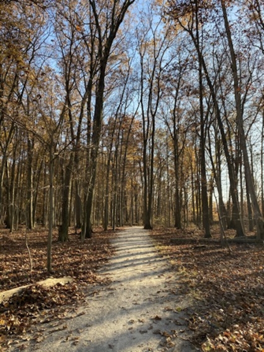 Glacier Ridge Metro Park Offers Tons of Fun For Families