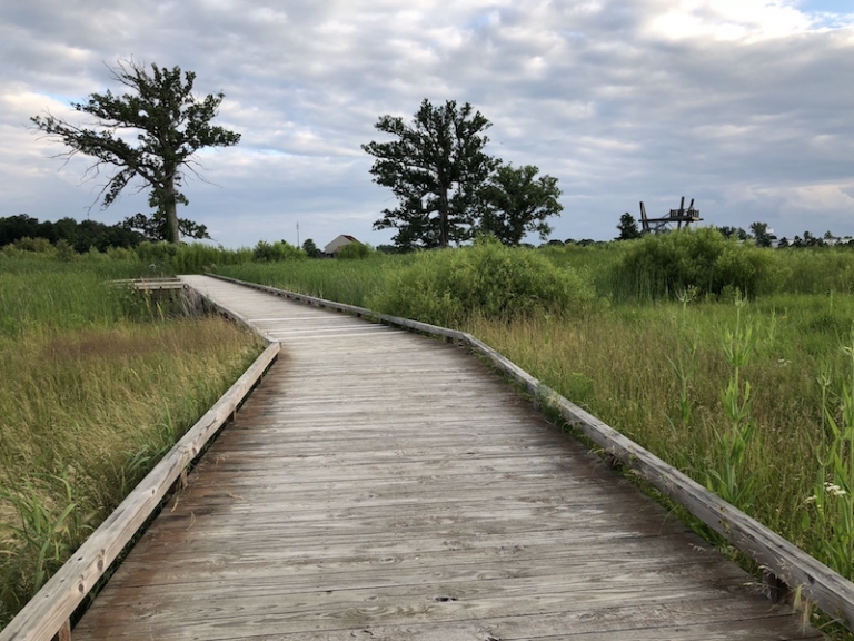 Glacier Ridge Metro Park Offers Tons of Fun For Families
