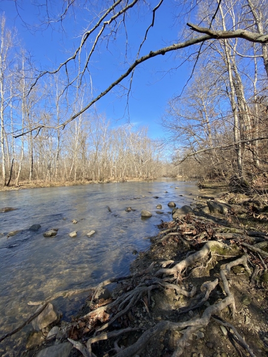 How to Explore Battelle Darby Creek Metro Park with Your Kids