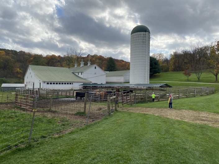 Your Guide to Exploring Mohican State Park in Loudonville, Ohio