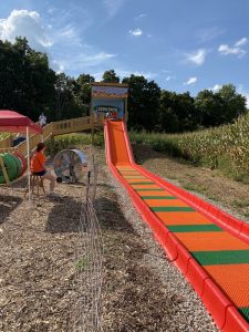 17 Things to Do at Leeds Farm