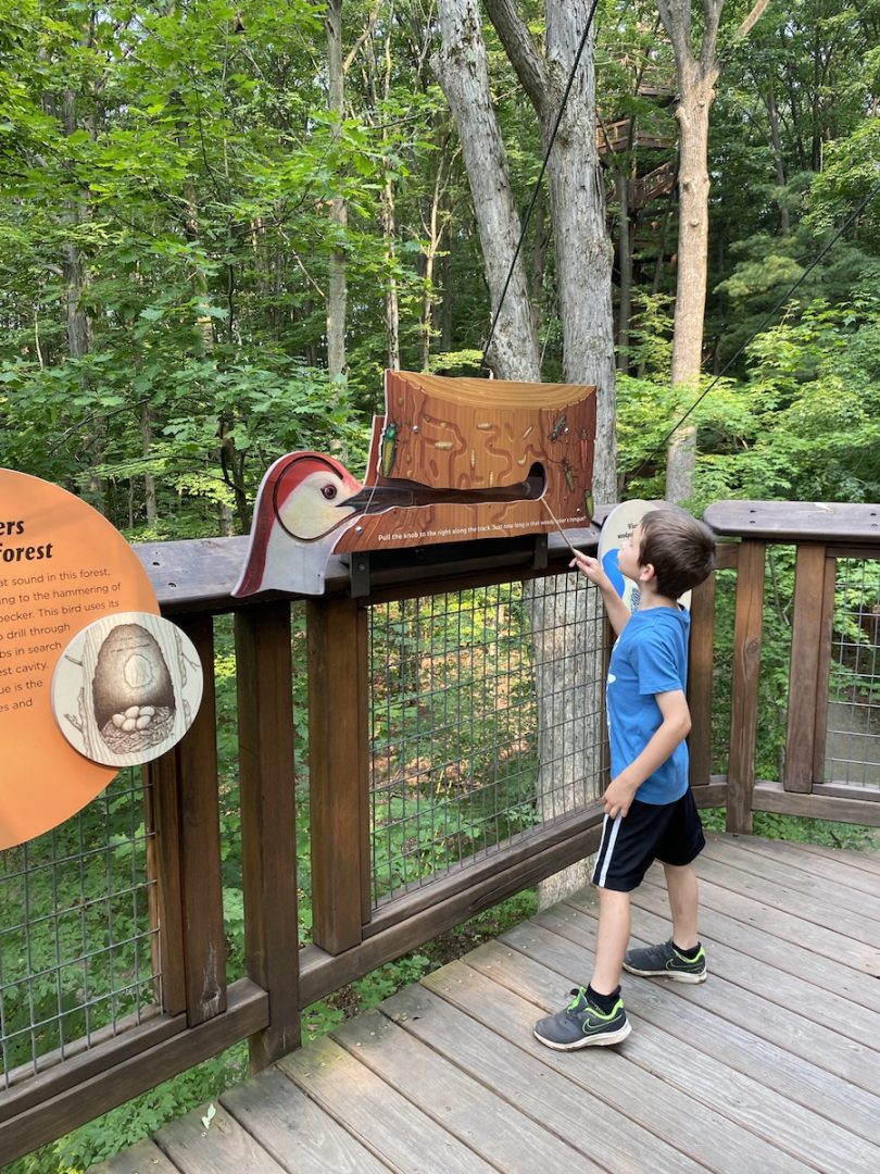 4 Things You Absolutely Must Do at the Holden Arboretum in Kirtland, Ohio!