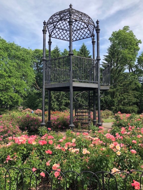 Exploring the Roses, Prairie and Playgrounds of Whetstone Park