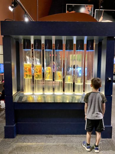 Plan Your Visit to COSI: America's #1 Science Museum!