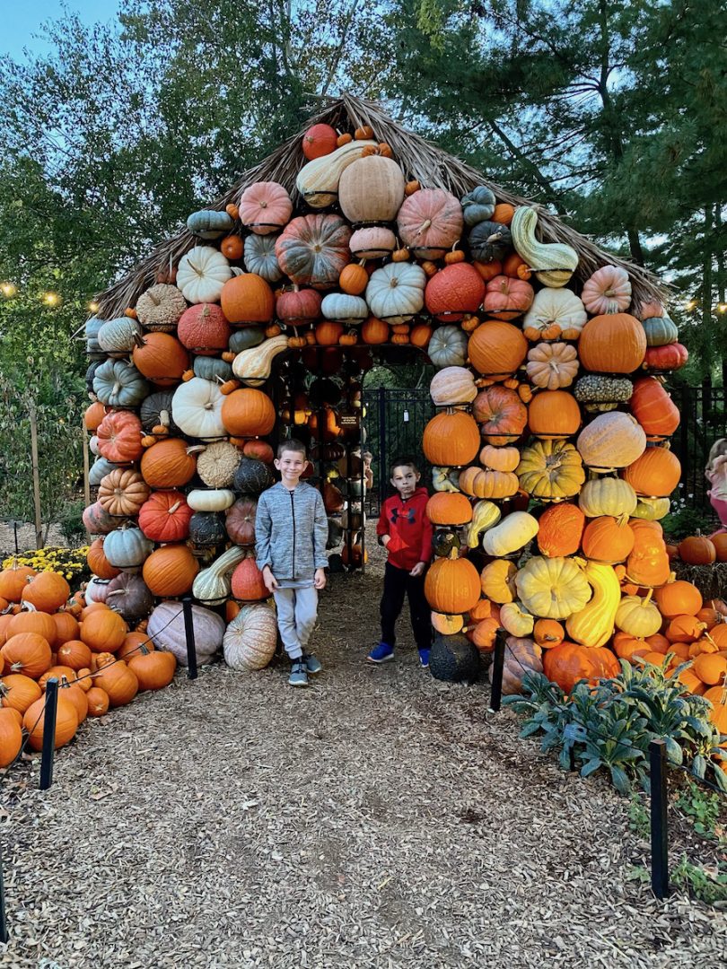 9 Things to Do With Your Kids This Fall in Columbus