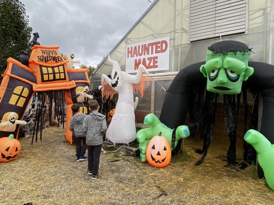 Pumpkin Patches and Fall Festivals in Columbus and Central Ohio 2025!