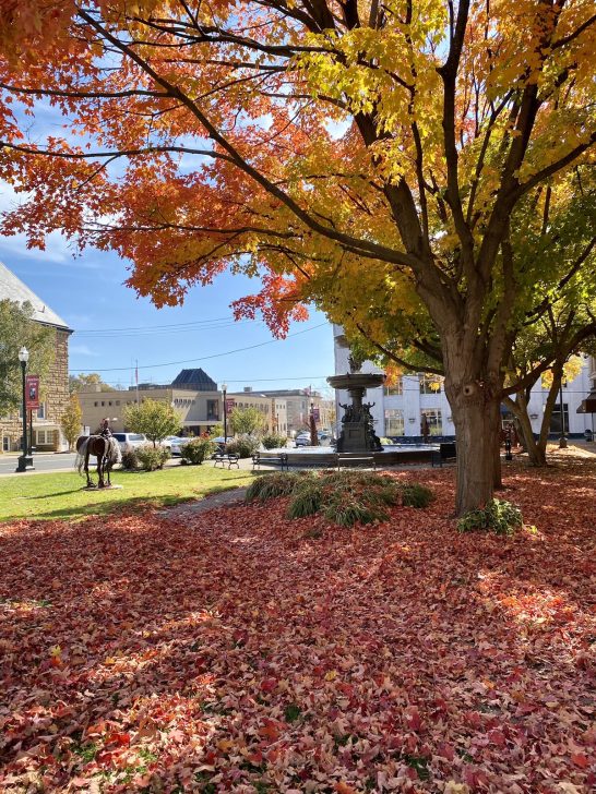 Following Pip's Path Through Lancaster, Ohio