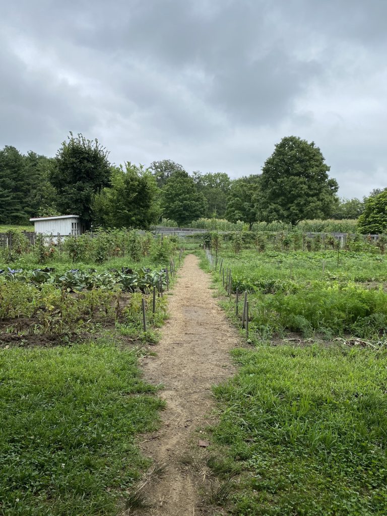 Slate Run Metro Park and Living Historical Farm: 7 Things to See and Do