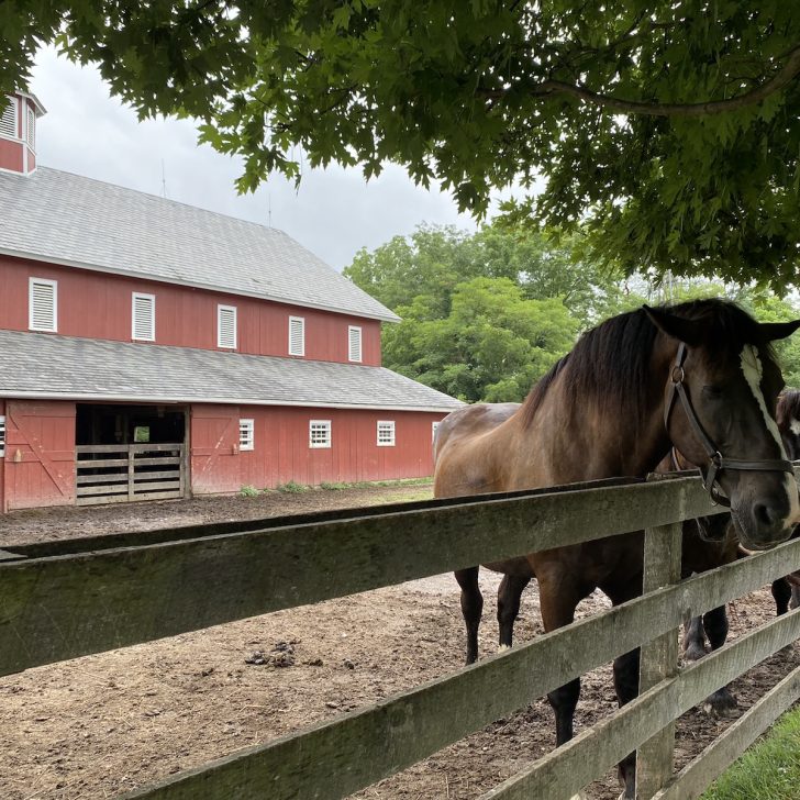 13 Hidden Gems in Ohio That Are Worth a Road Trip!