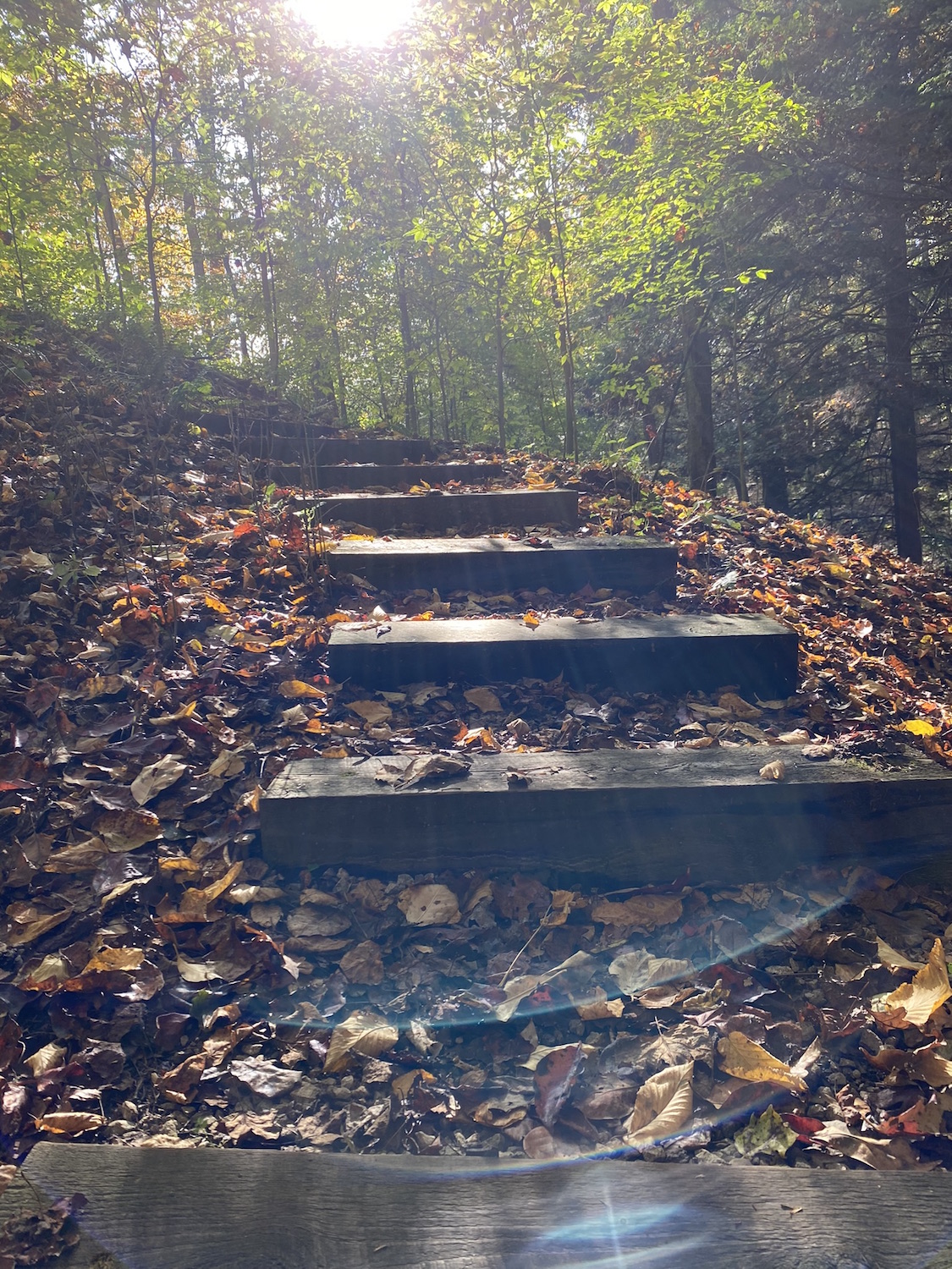 Wahkeena Nature Preserve is Gorgeous!