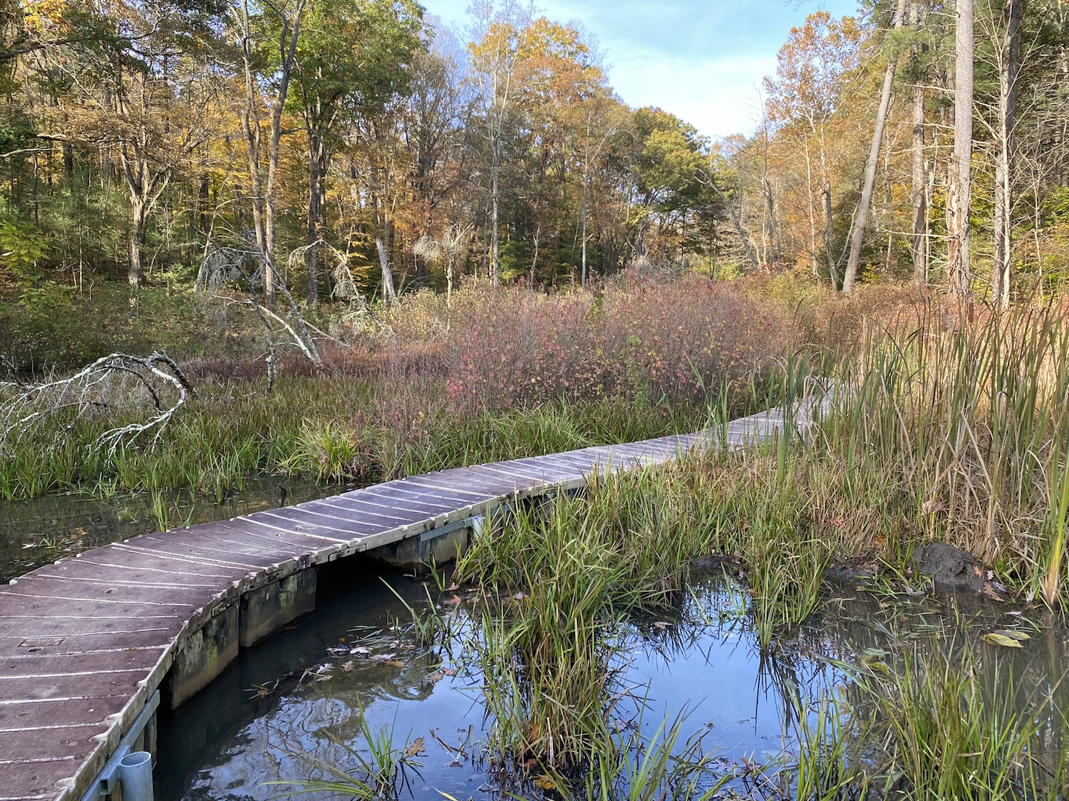 Wahkeena Nature Preserve is Gorgeous!