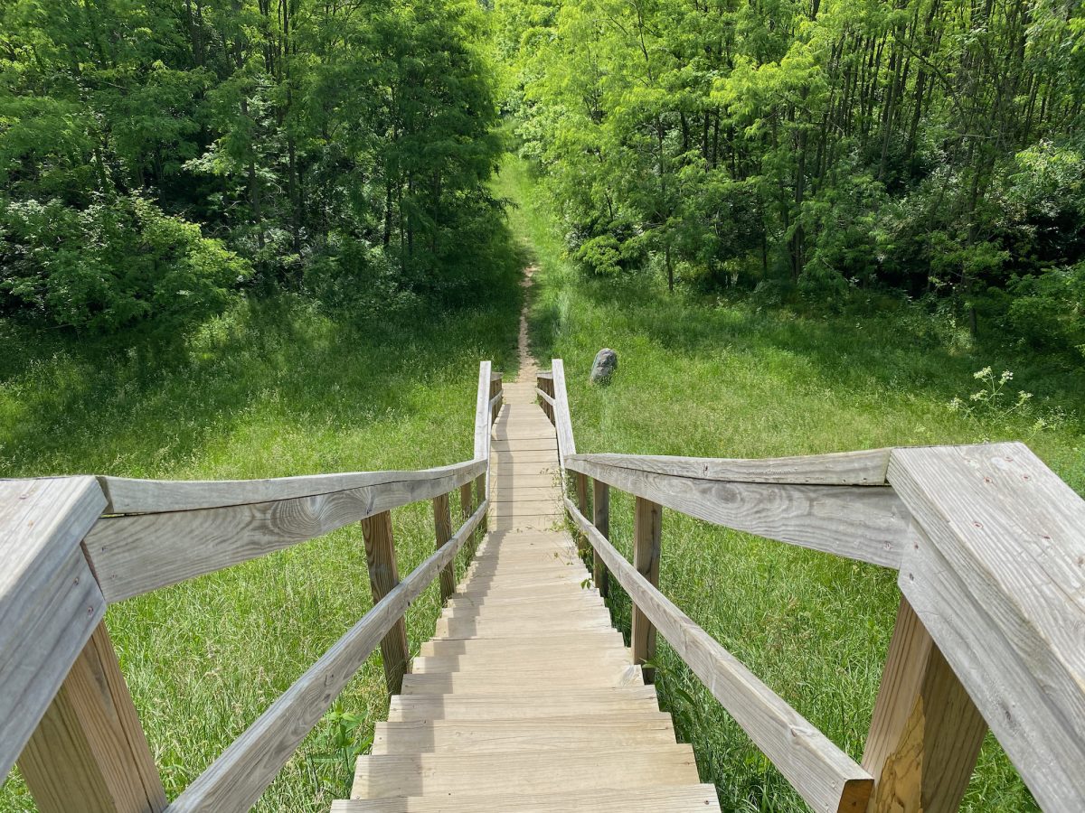 3 Must-See Sights at Indian Mound Reserve in Cedarville, Ohio