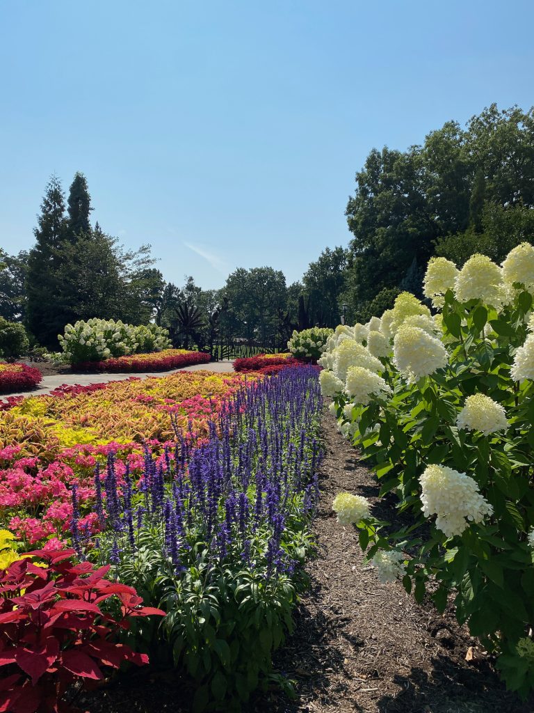 12 Beautiful Botanical Gardens and Arboretums in Ohio (2024)