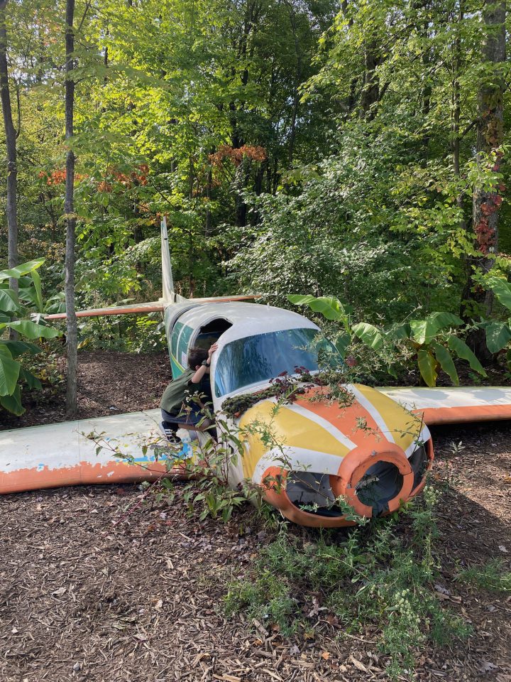 6 Reasons Why You Need to Visit Groovy Plants Ranch!