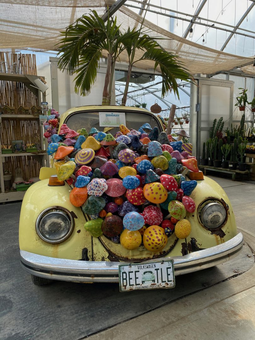 6 Reasons Why You Need to Visit Groovy Plants Ranch!