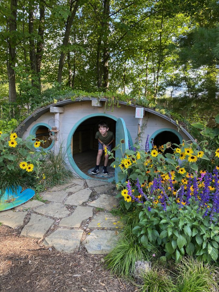 6 Reasons Why You Need to Visit Groovy Plants Ranch!