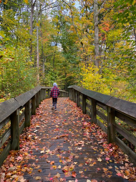 12 of the Best Places to See Fall Colors in Columbus, Ohio and Beyond ...