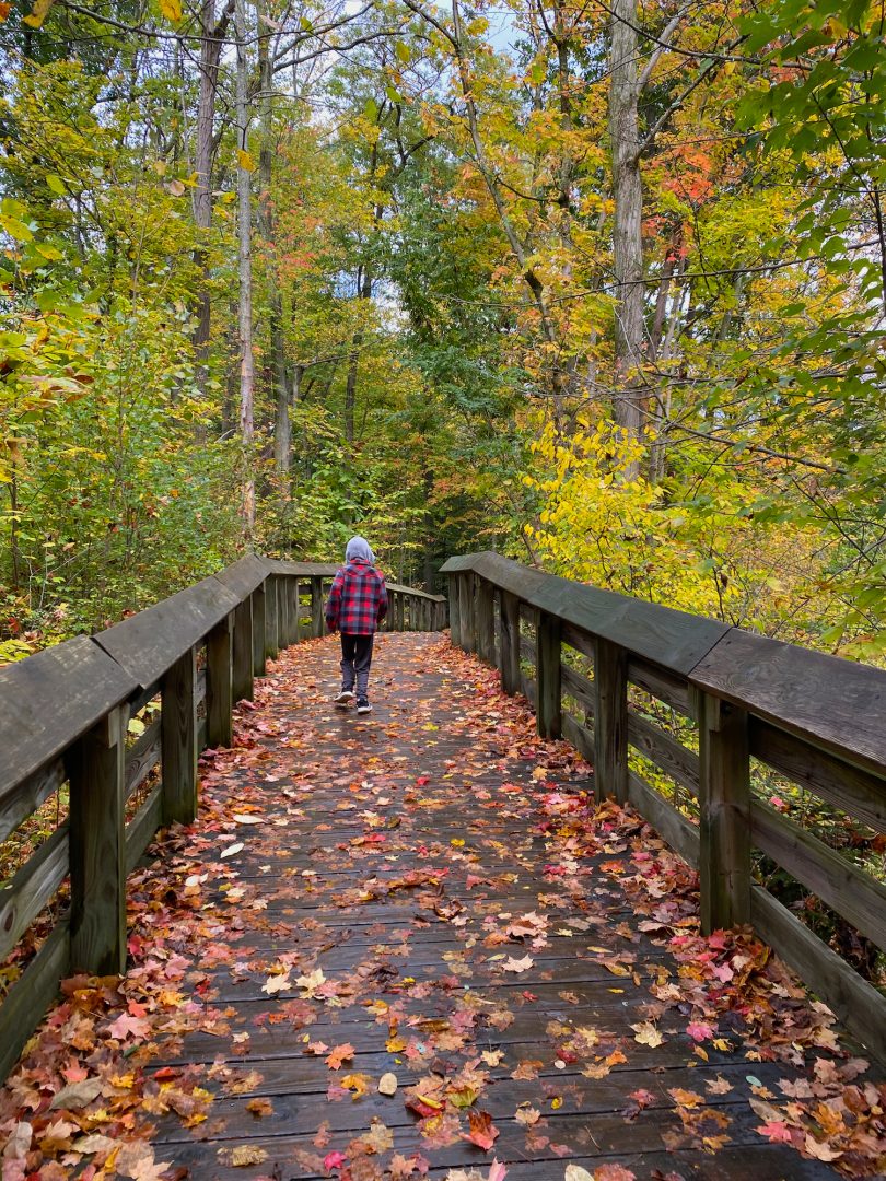 12 of the Best Places to See Fall Colors in Columbus, Ohio and Beyond ...