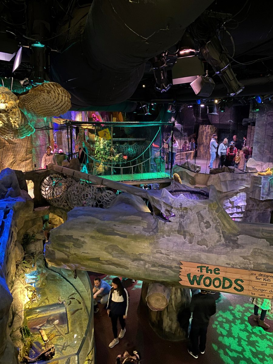 16 Fun Things to do in Cincinnati, Ohio