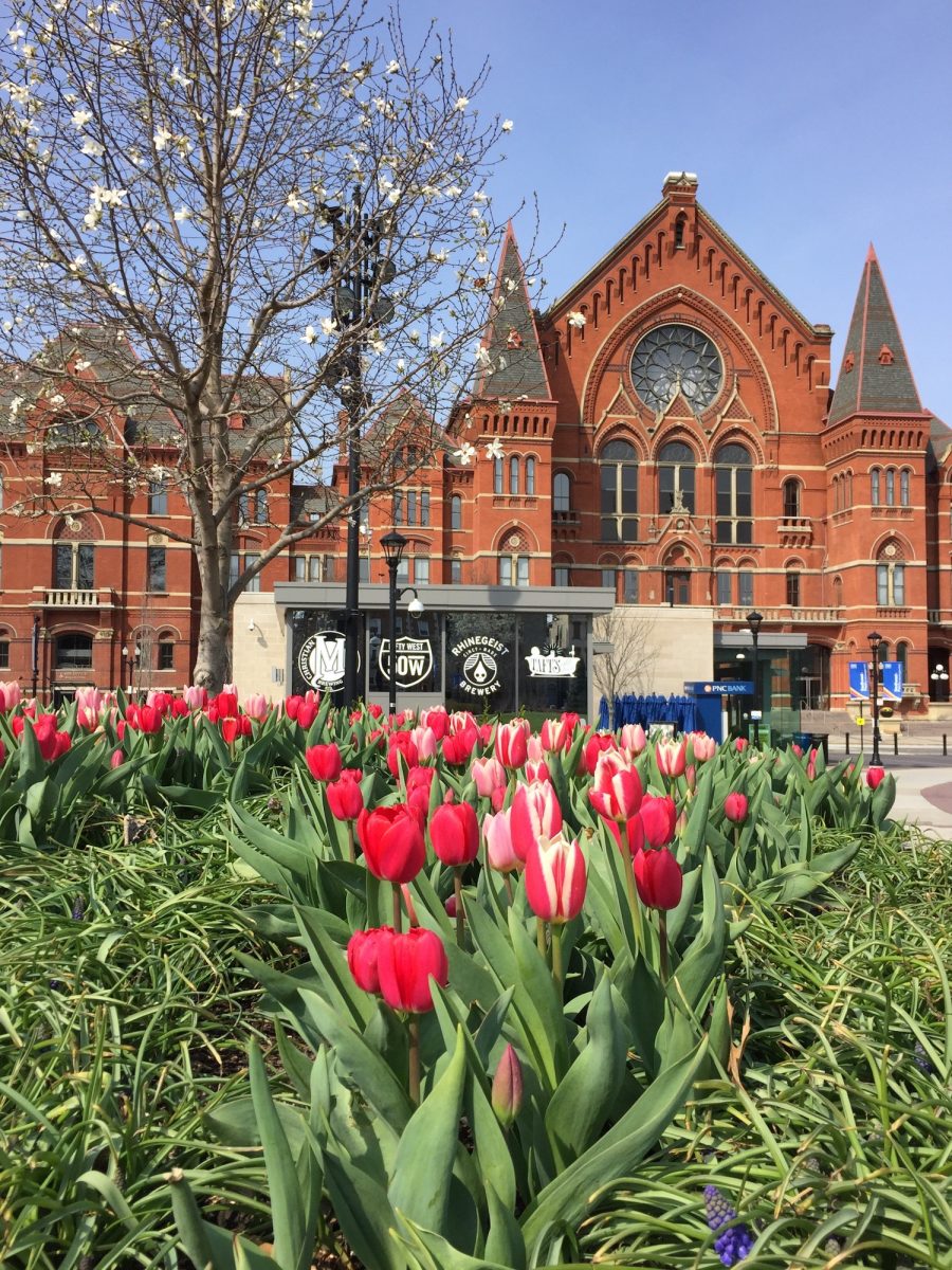 16 Fun Things to do in Cincinnati, Ohio