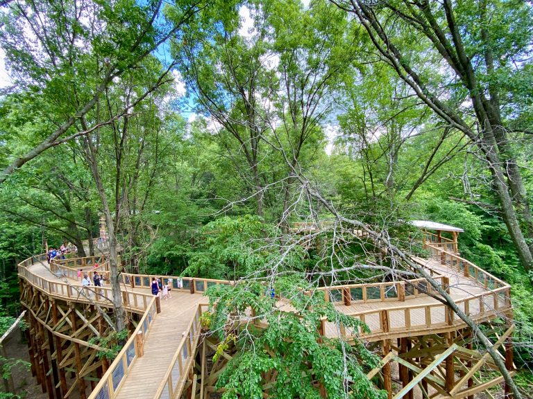 Family Friendly Guide to the Columbus Metro Parks