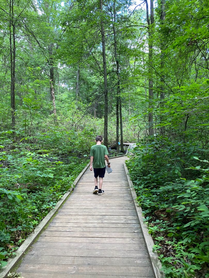 5 Things to do at Blacklick Woods Metro Park