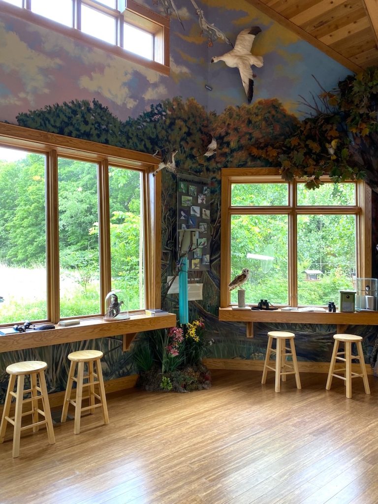 8 Fun Things to do in Delaware, Ohio