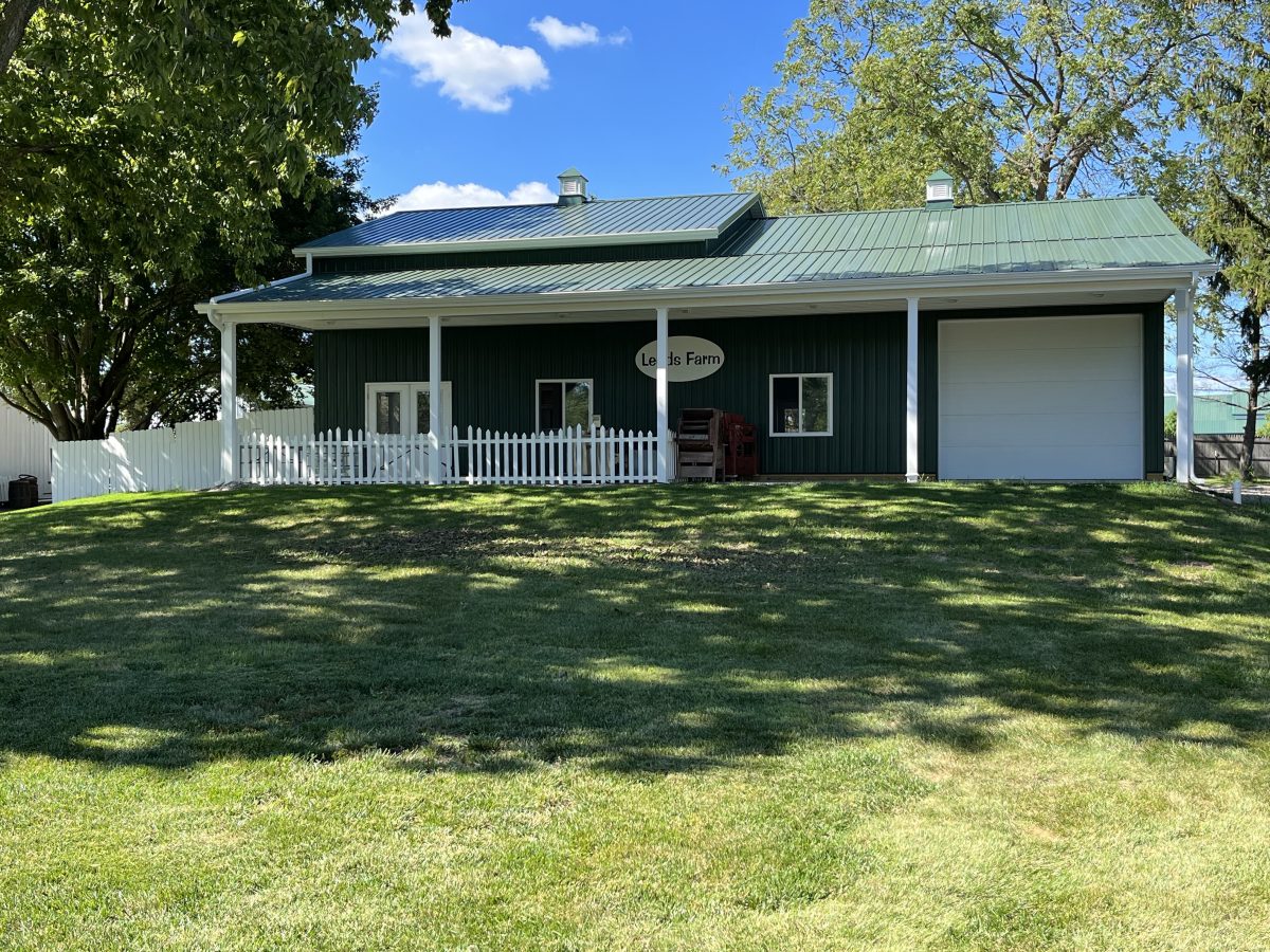 18 Things to Do at Leeds Farm in 2024