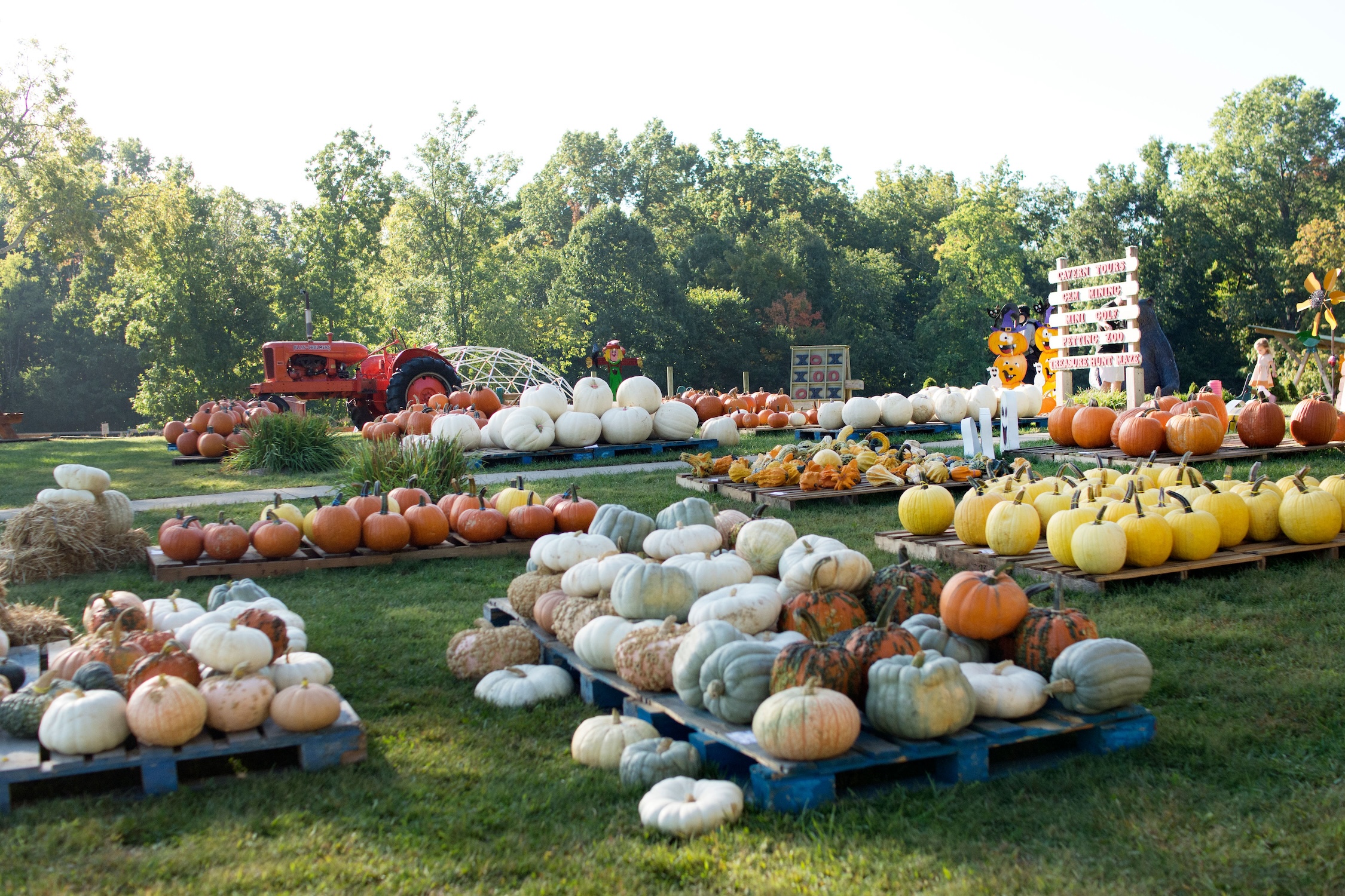 Pumpkin Patches and Fall Festivals in Columbus and Central Ohio 2025!