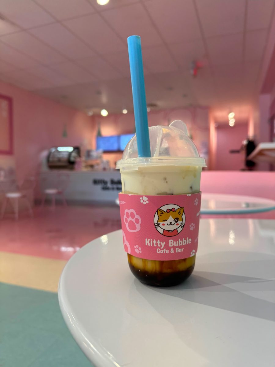 Kitty Bubble Cafe & Bar: An Adorable Cat Cafe in Columbus, Ohio