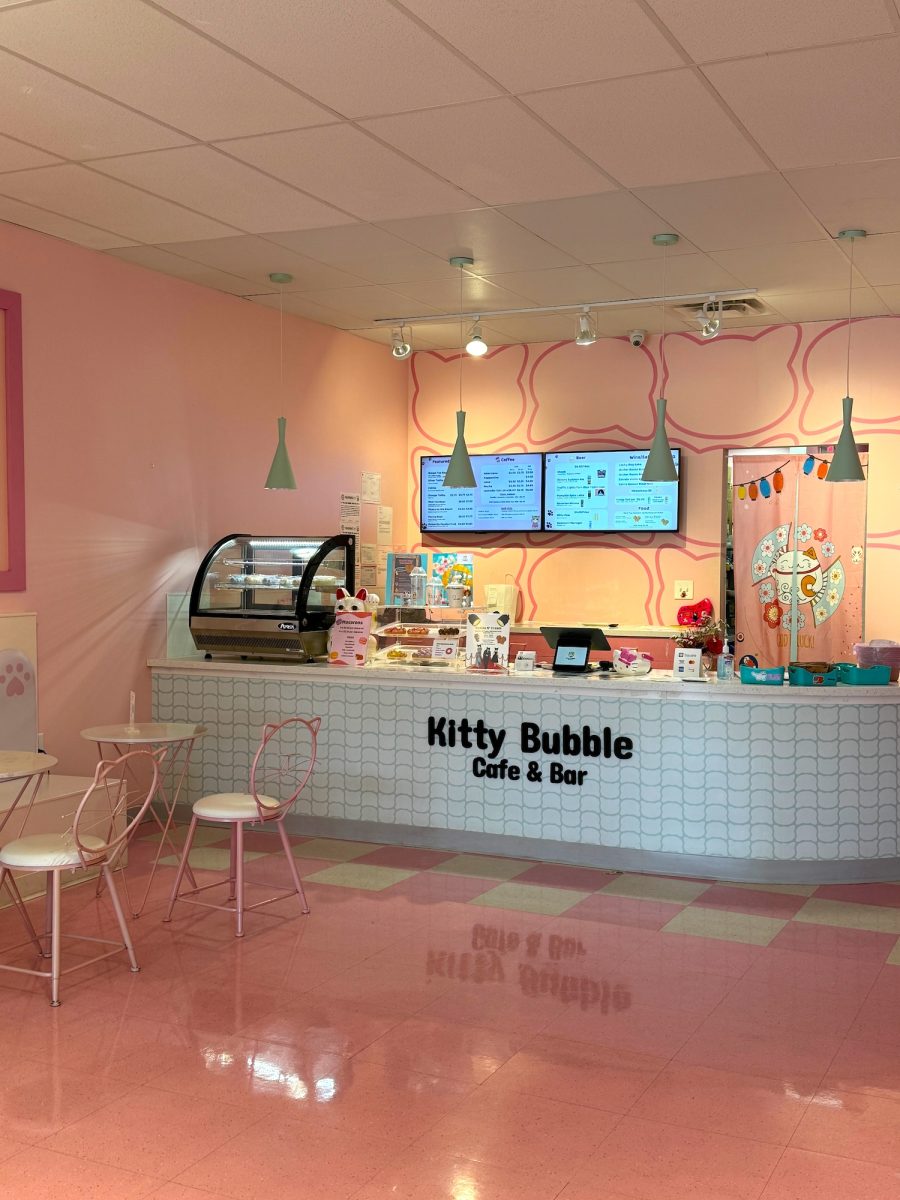 Kitty Bubble Cafe & Bar: An Adorable Cat Cafe in Columbus, Ohio
